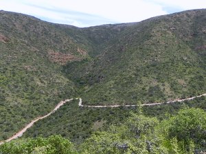 Cape Provinces South Africa - Trip report(I)