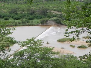 Report on Letaba Restcamp Camp in the Kruger National Park