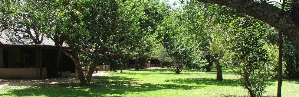Report on Orpen Restcamp in the Kruger National Park