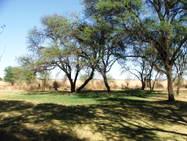 Trip Report, North West Province, Delareyville, Rapoelli Guestfarm