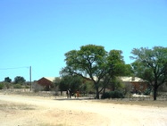 Trip Report, North West Province, Delareyville, Rapoelli Guestfarm