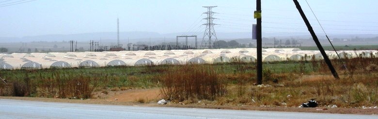 Trip Report, North West Province, Delareyville, Rapoelli Guestfarm